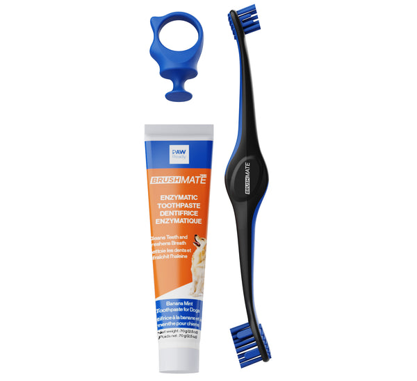 Paw Ready Oral Care Brushing Bundle Dental Kit - Toothbrush, BiteBlock ...