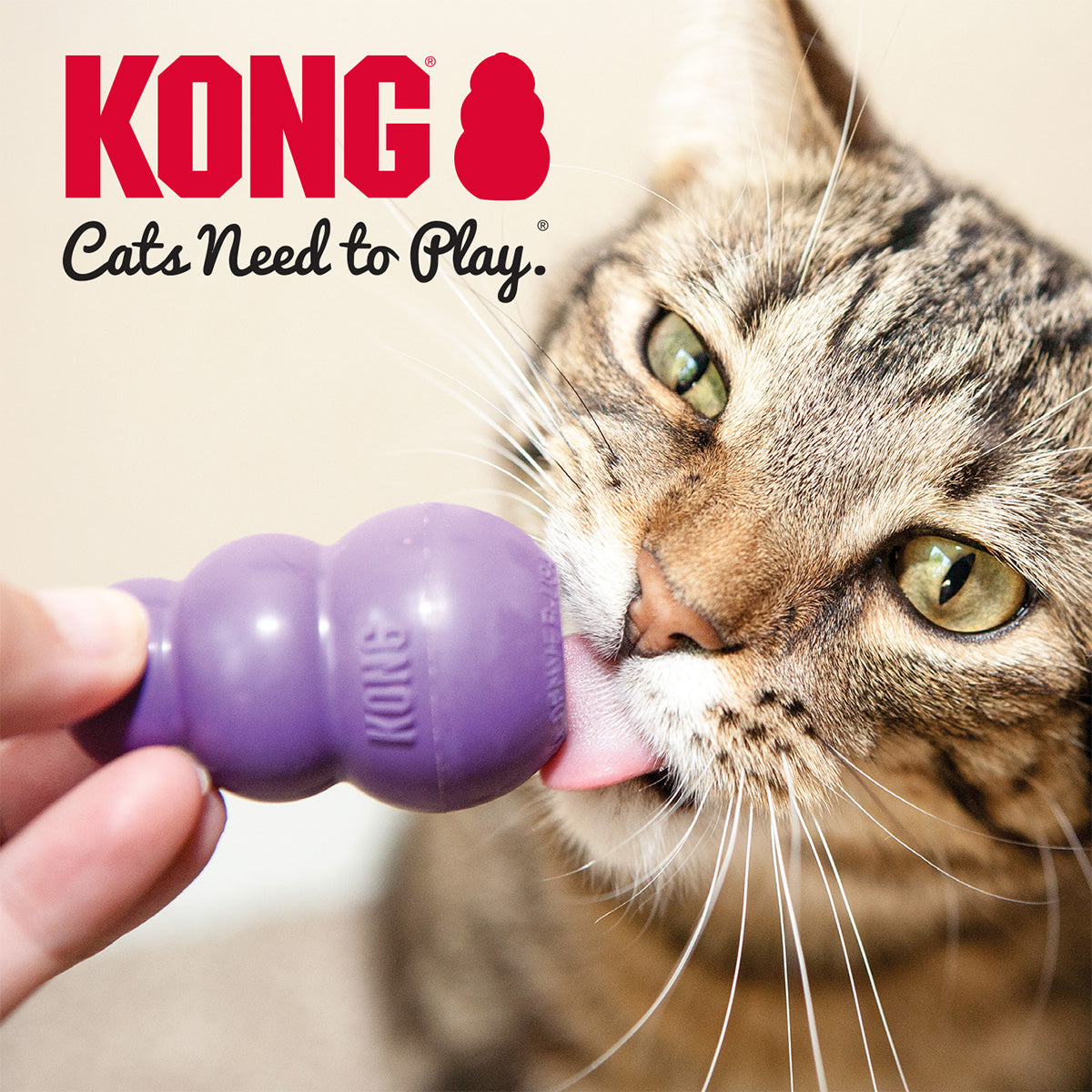 KONG Cat Toys – vet-n-pet DIRECT