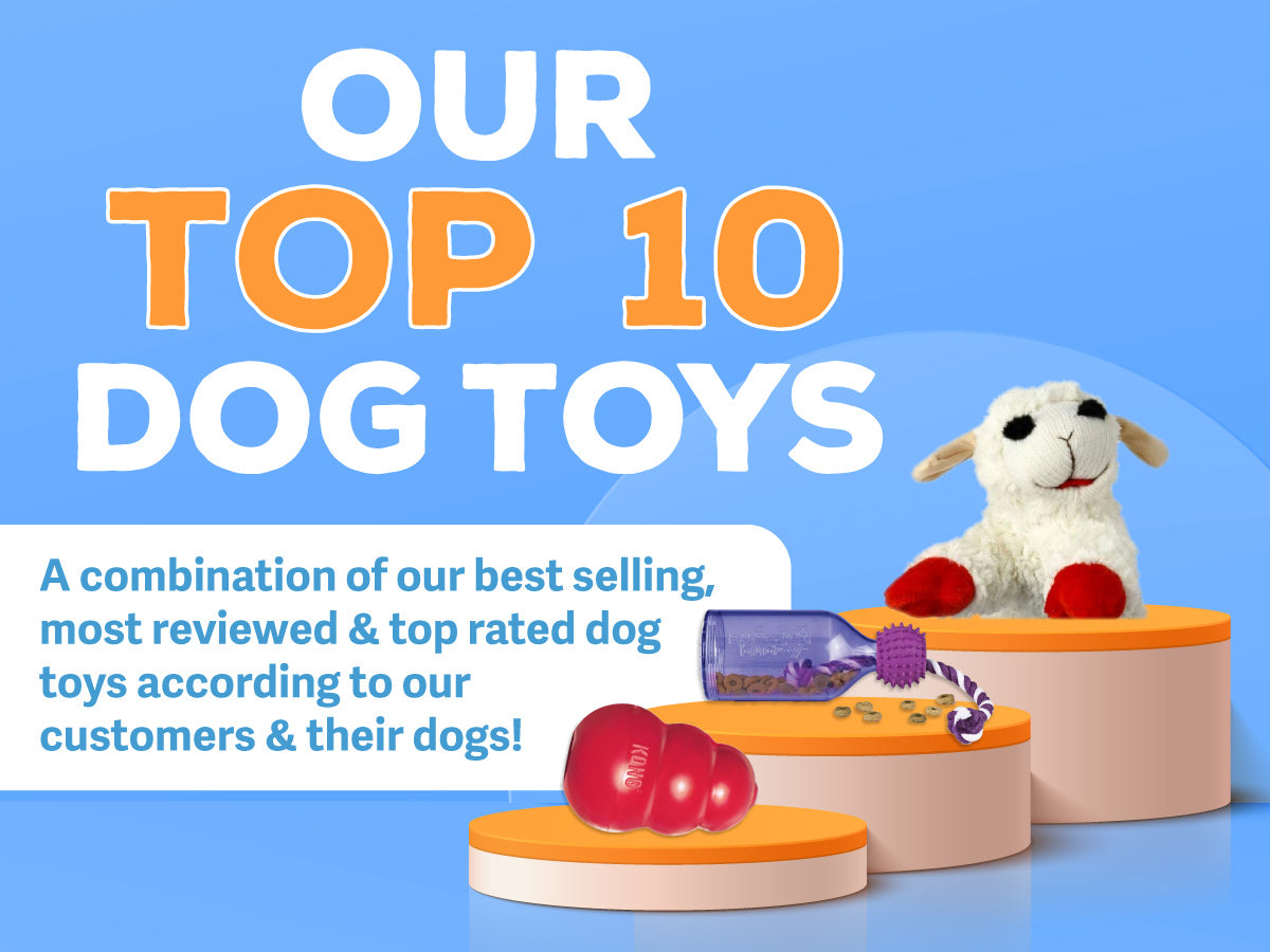 Shop Our Range of Pet Supplies | vet-n-pet DIRECT