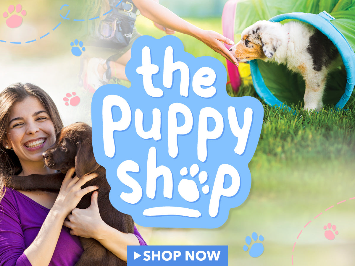 Permoxin Insecticidal Spray & Rinse Concentrate for Dogs & Horses - vet ...