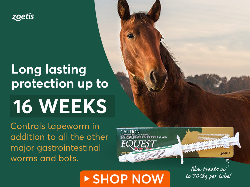 Equest Plus Tape Long Acting Horse Wormer Stud Bucket 50 Tubes - vet-n ...