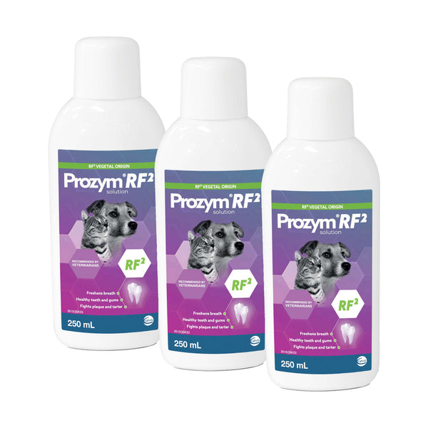 Prozym Dental Solution 3 x 250mL Value Bundle | vet-n-pet DIRECT