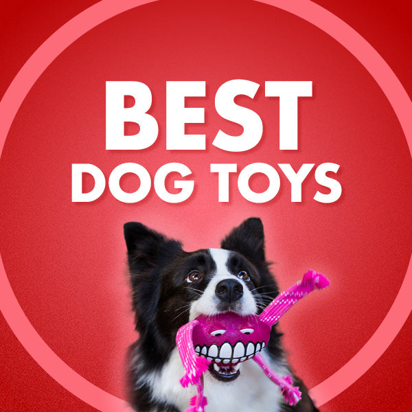 vet-n-pet DIRECT | Australia's Online Pet Shop Expert