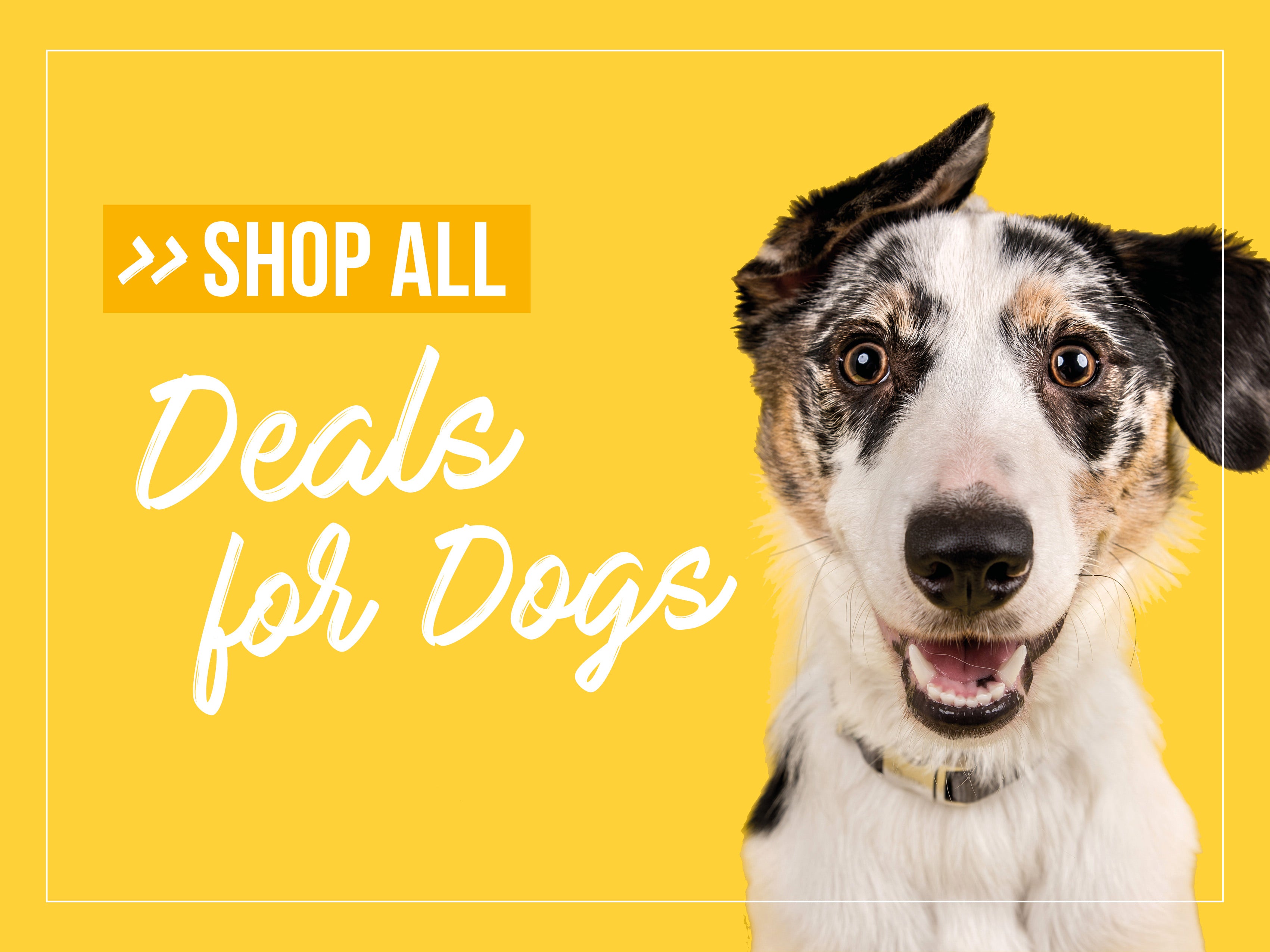 Shop Our Range of Pet Supplies | vet-n-pet DIRECT