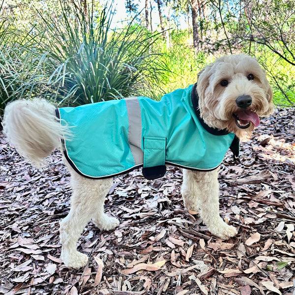 ZeeZ Dapper Dog Coat - Mint Green | vet-n-pet DIRECT
