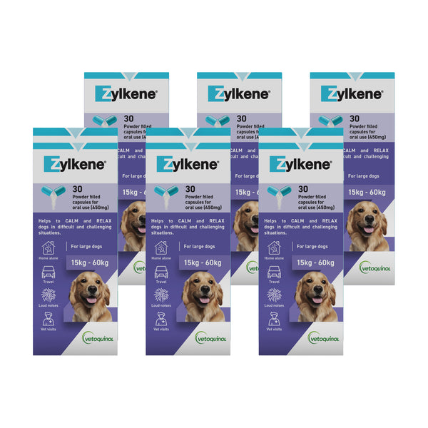 Zylkene Capsules for Cats & Dogs Value Bundles | vet-n-pet DIRECT