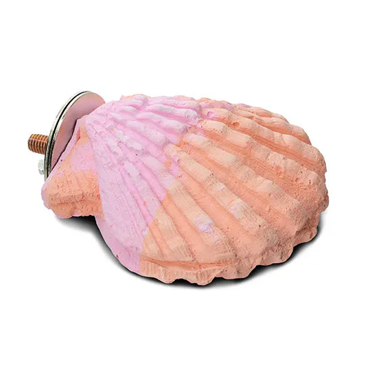 Bainbridge Calcium Clam Bird Perch - Small | vet-n-pet DIRECT