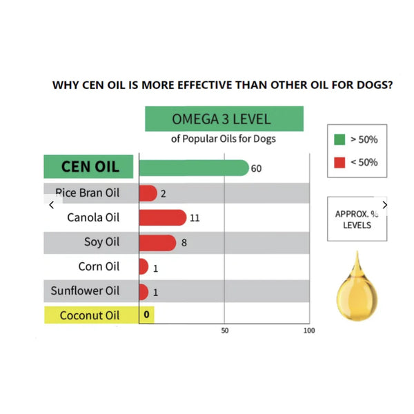 CEN Oil - First Cold Pressed Flaxseed Oil for Dogs 1L | vet-n-pet DIRECT