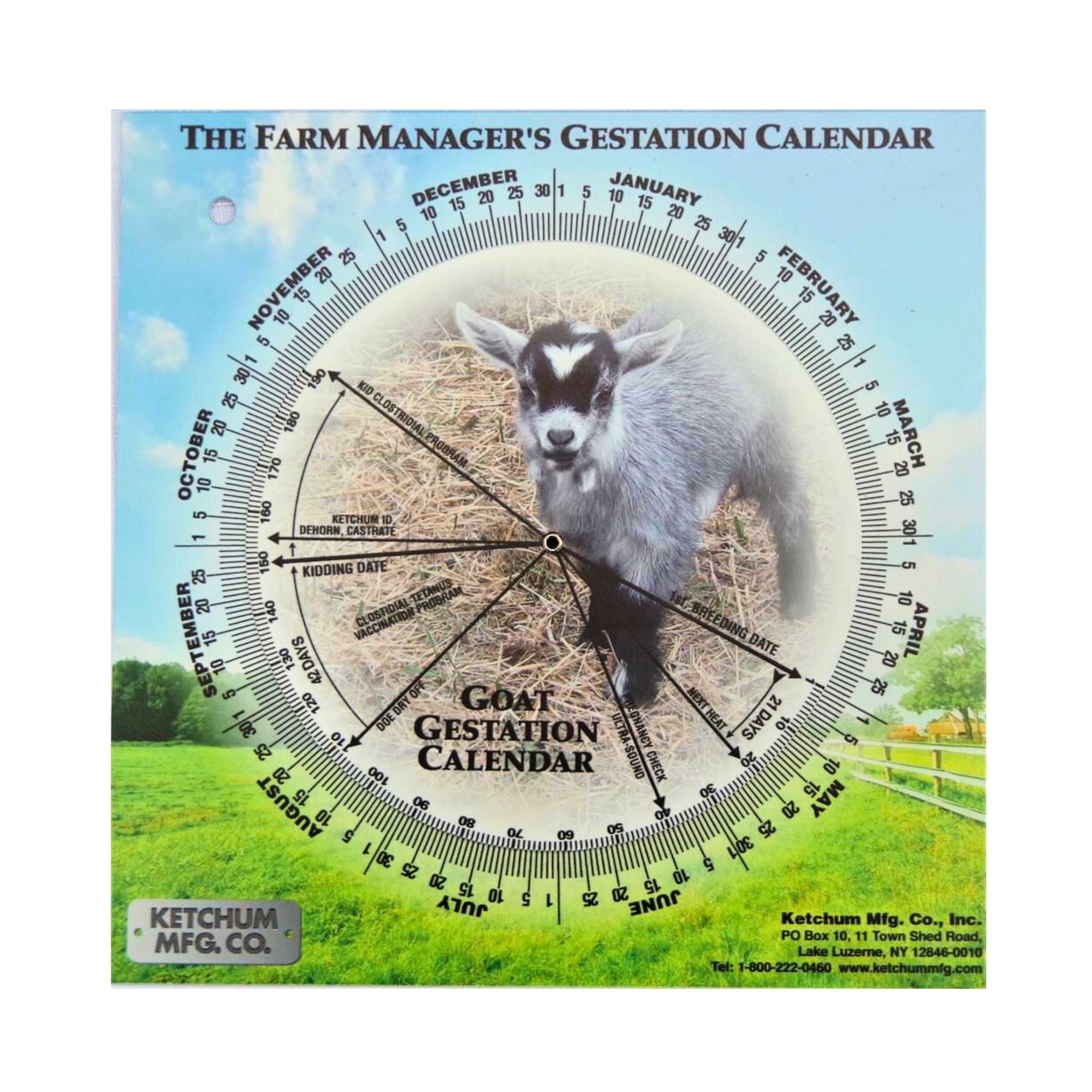 Goat Gestation Table Printable 10 Ways To Recognize Goat Labor Signs
