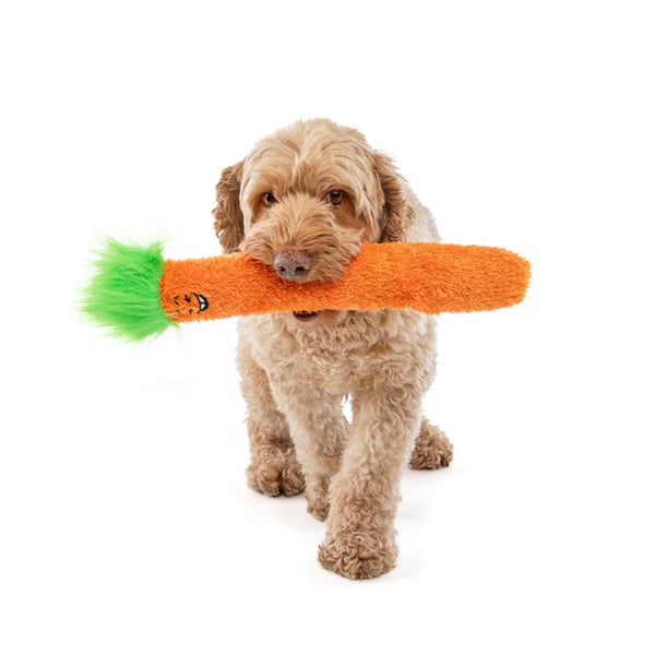 Guru Fry Guys Jerry | vet-n-pet DIRECT