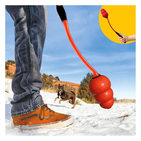 KONG Signature Throw | vet-n-pet DIRECT