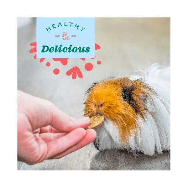 Oxbow Natural Science Joint Support 120g | vet-n-pet DIRECT