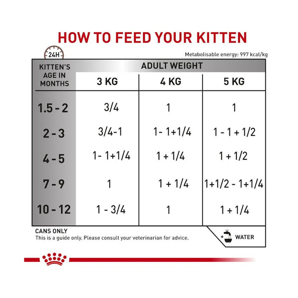 Royal Canin Veterinary Diet Gastrointestinal Kitten 195g x 12 | vet-n ...