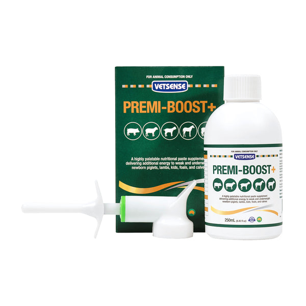 Vetsense Premi-Boost+ Nutritional Paste Supplement 250mL | vet-n-pet DIRECT
