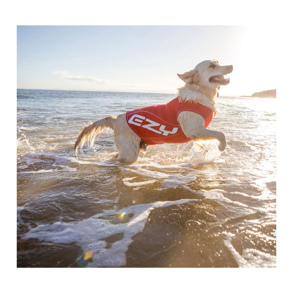 EzyDog Rashie | vet-n-pet DIRECT