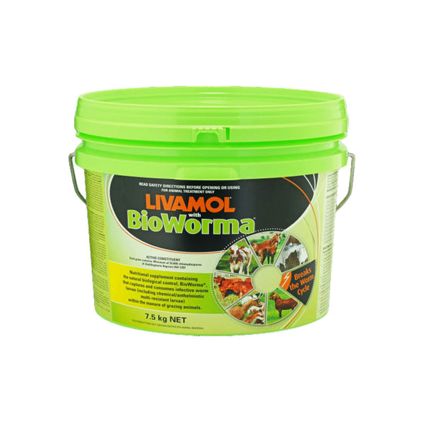 Livamol with BioWorma | vet-n-pet DIRECT
