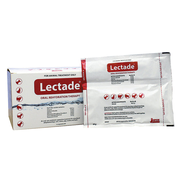 Lectade Sachet 64g - vet-n-pet DIRECT