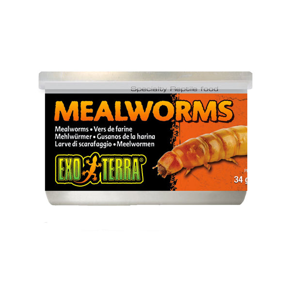 Exo Terra Mealworms 34g - vet-n-pet DIRECT