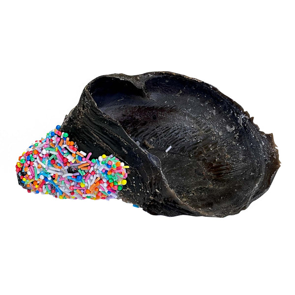 Huds & Toke Twinkle Toes Cow Hoof Dog Treat - 1 piece | vet-n-pet DIRECT