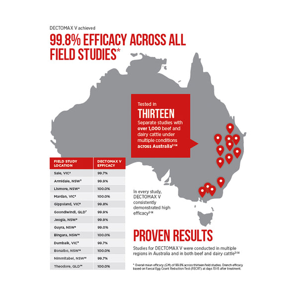 Zoetis Dectomax V Injectable Parasiticide 500mL | vet-n-pet DIRECT