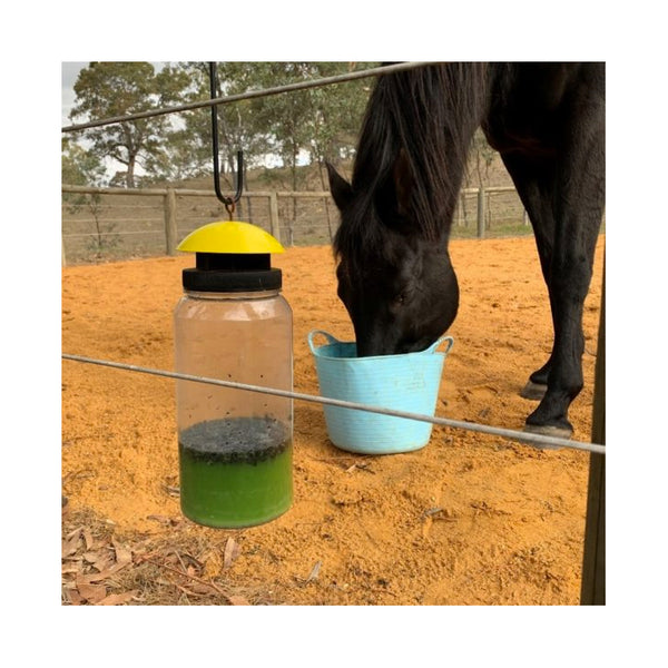 EnviroSafe Reusable Fly Trap | vet-n-pet DIRECT