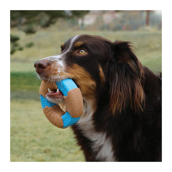 KONG CoreStrength Bamboo Ring - Large | vet-n-pet DIRECT