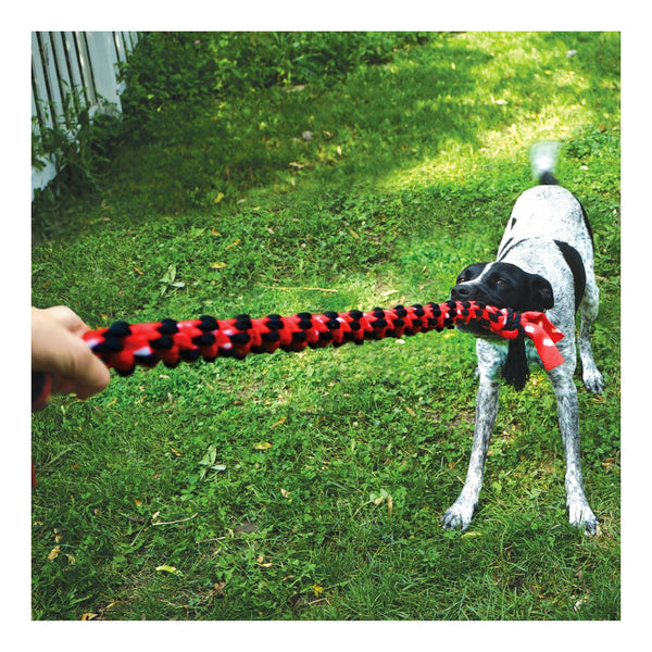 KONG Signature Rope Mega Dual Knot Tug Toy | vet-n-pet DIRECT