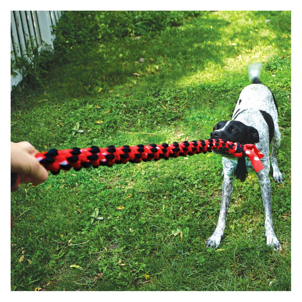 KONG Signature Rope Dual Knot Tug Toy |vet-n-pet DIRECT