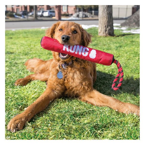 KONG Signature Stick with Rope | vert-n-pet DIRECT - vet-n-pet DIRECT